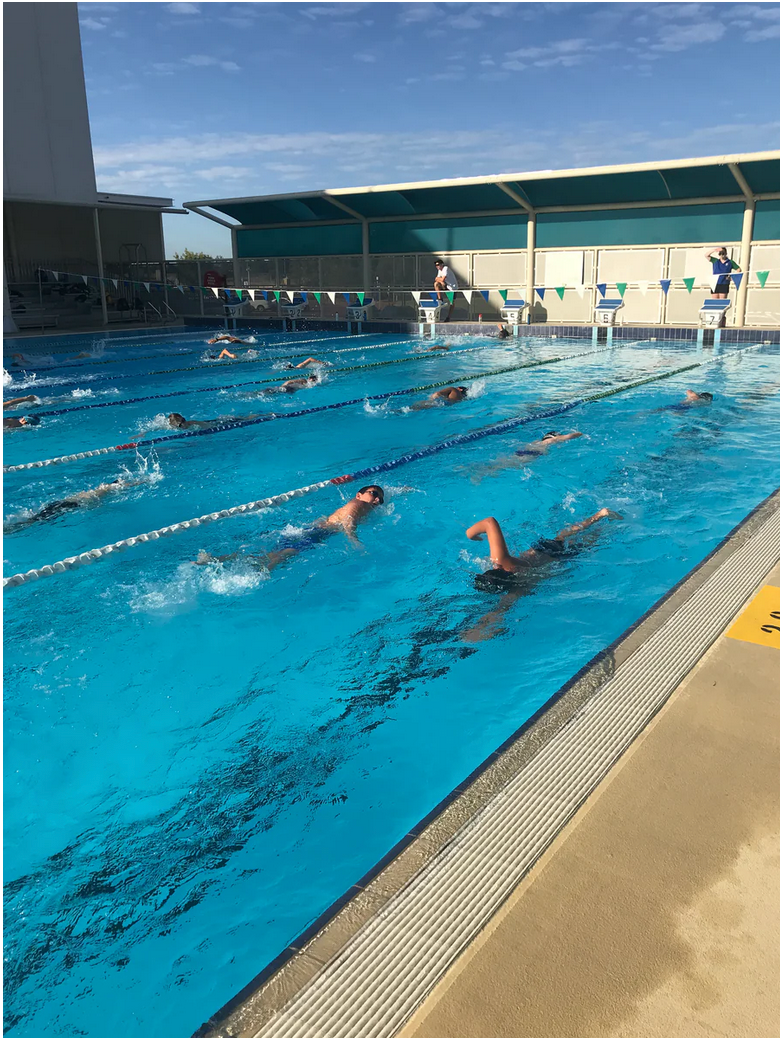 Summer Holiday Swim Squads – Perth Swim