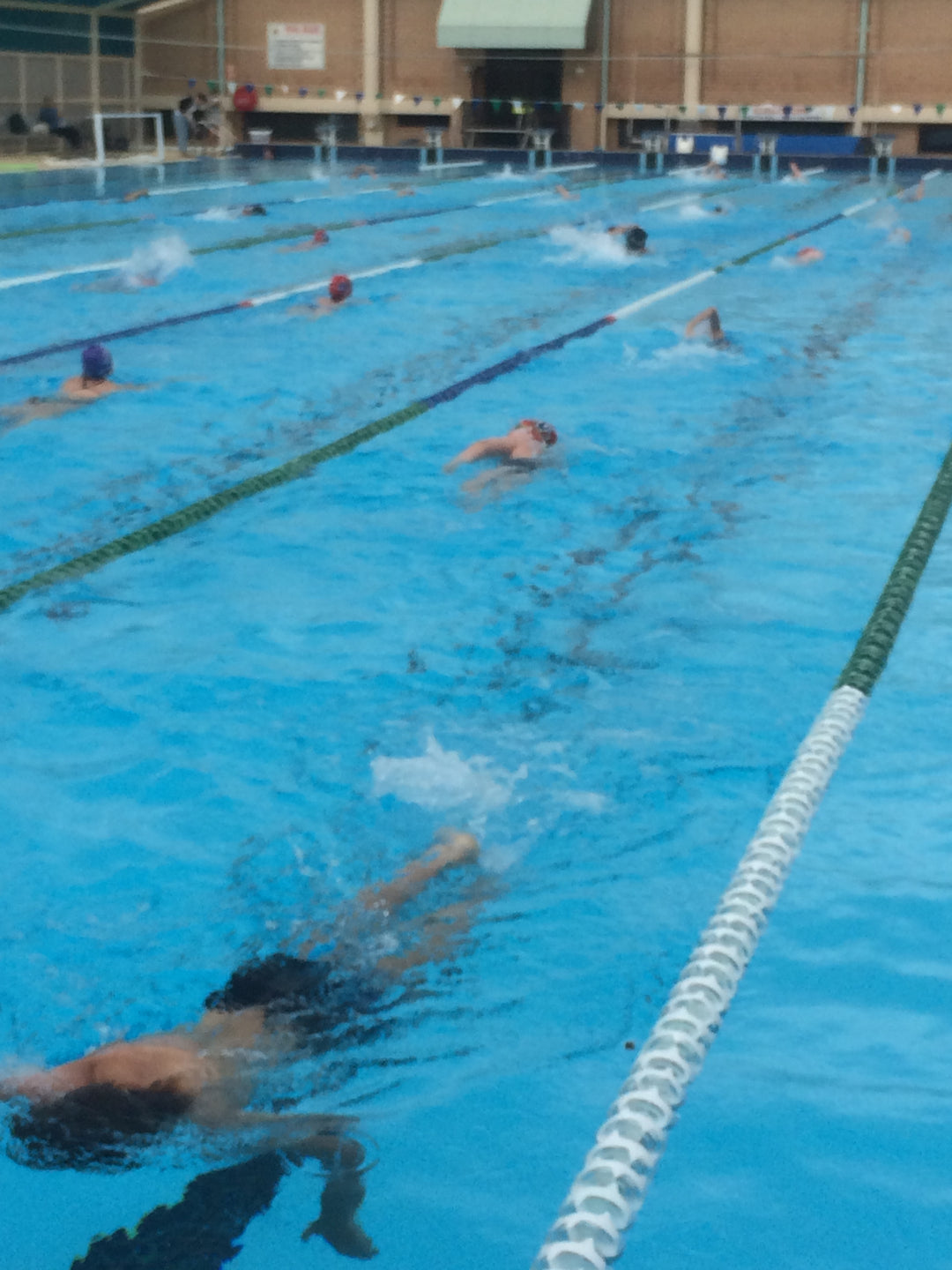 Squads – Perth Swim